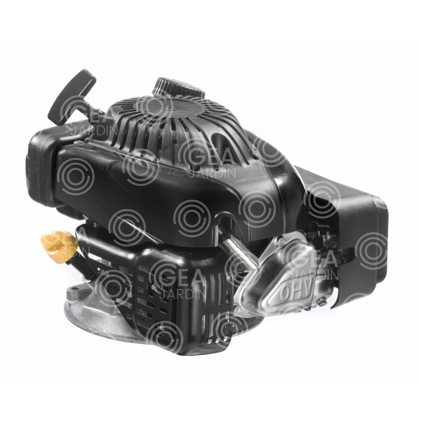 MOTOR RS 100 - Geajardin